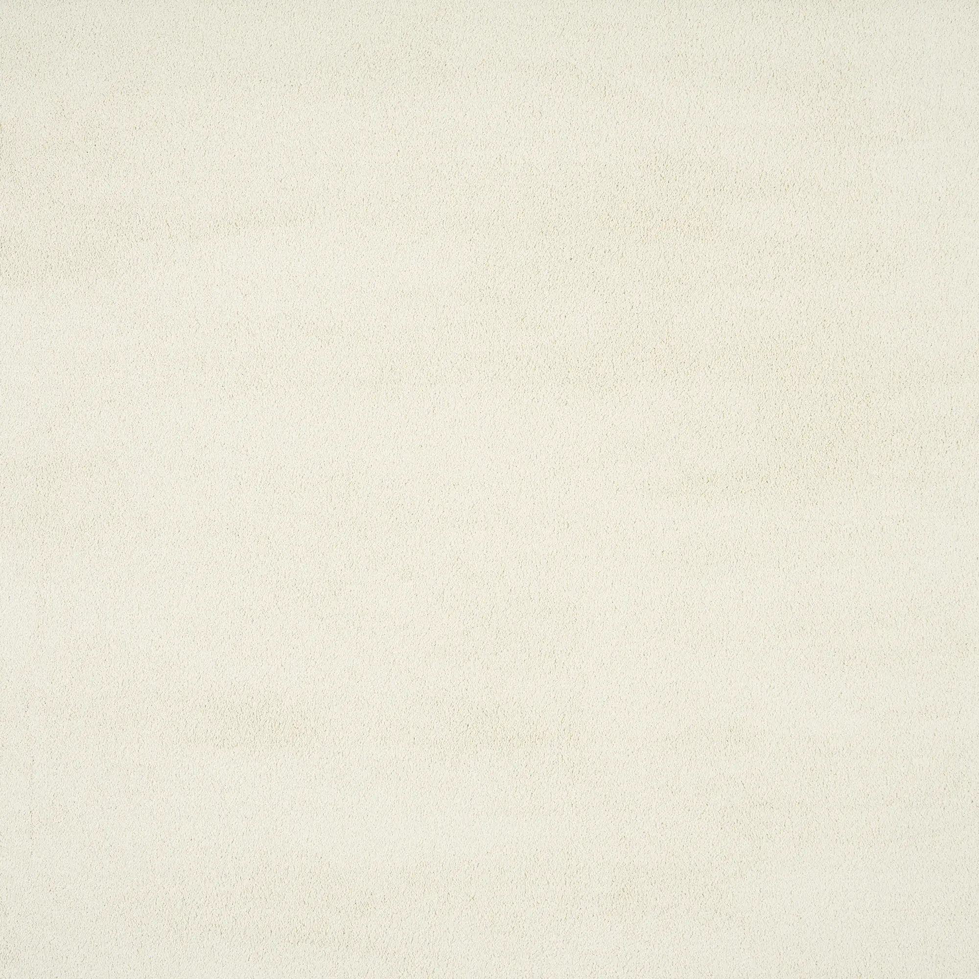 Sable Coconut - Sable - Signature Floors Rugs